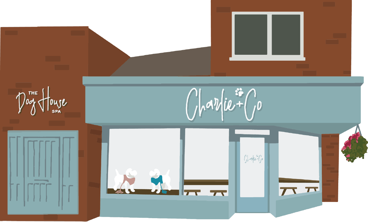 Local Stores – Charlie + Co