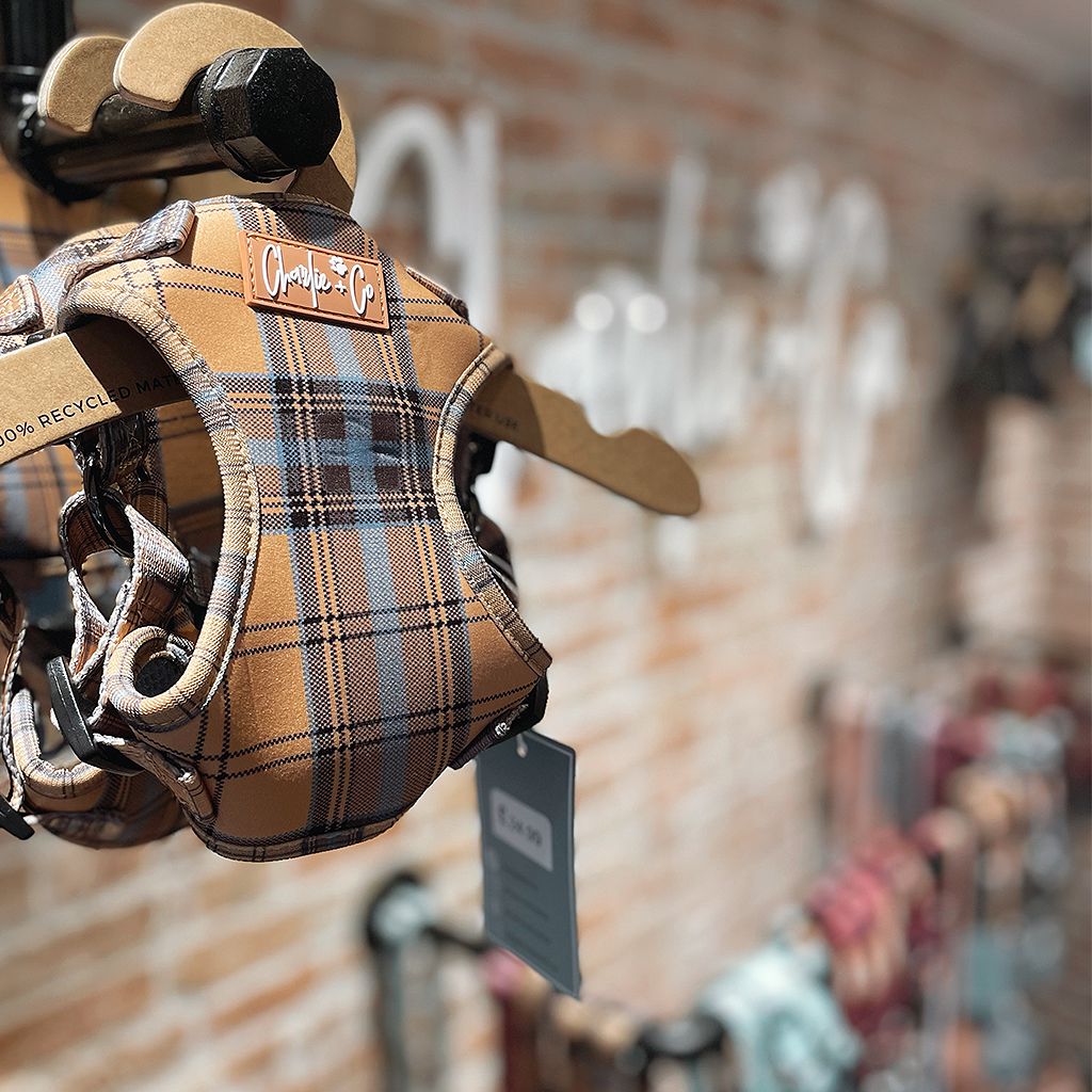 Local Stores – Charlie + Co